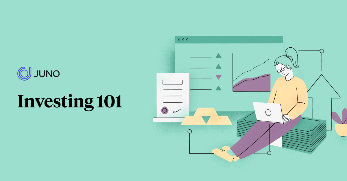 The Beginner's Guide to Investing